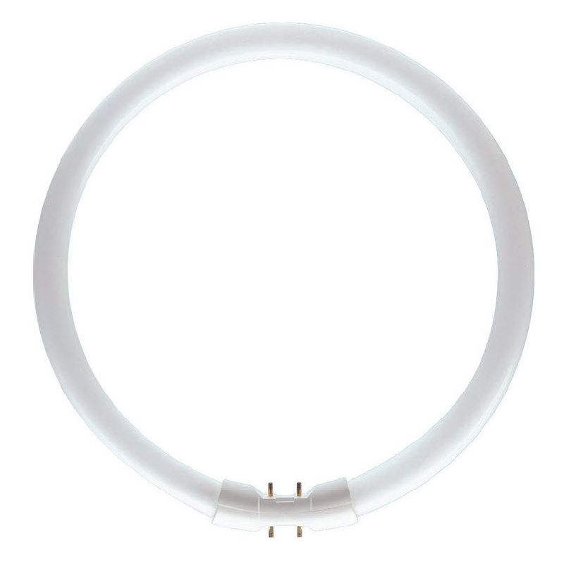 Philips Circular Fluorescent Lamp T5 40W 2GX13 Warm White 3K 3300lm ...
